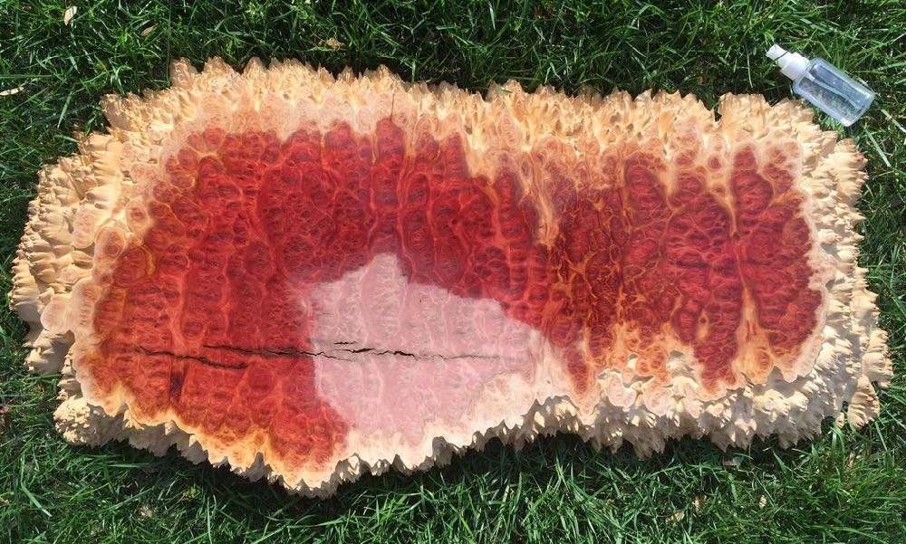 AustralianBurls.com - Large Burl Slab Current Inventory