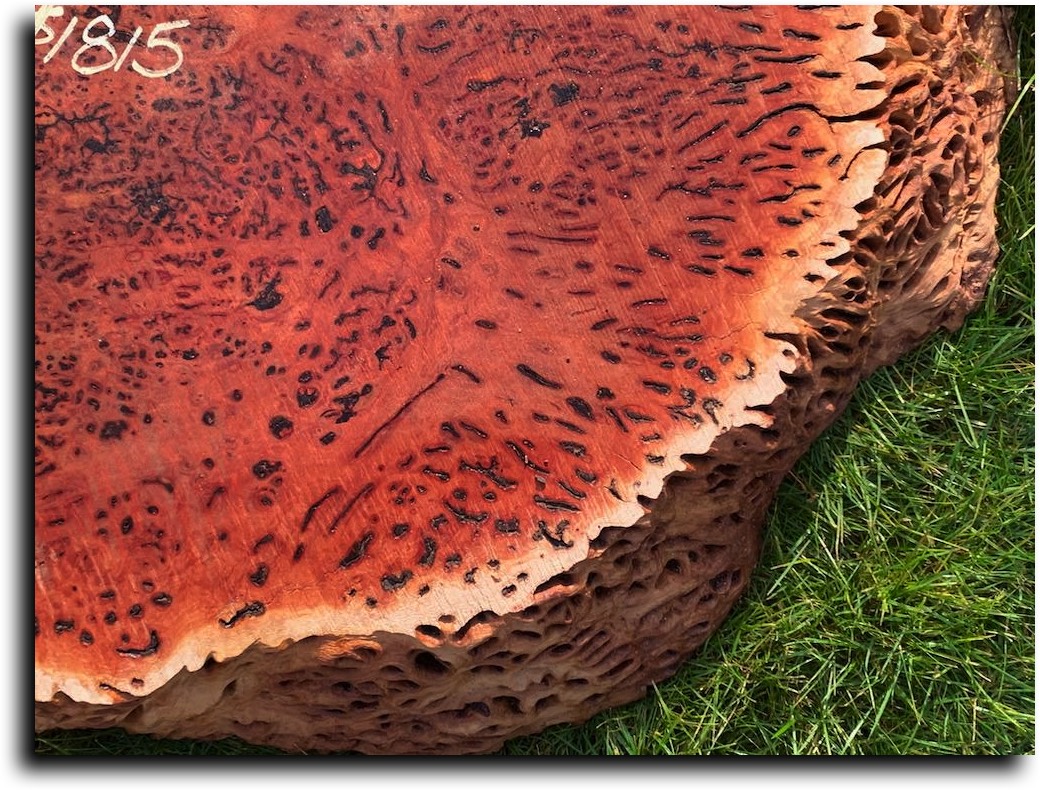 AustralianBurls.com - Large Burl Slab Current Inventory