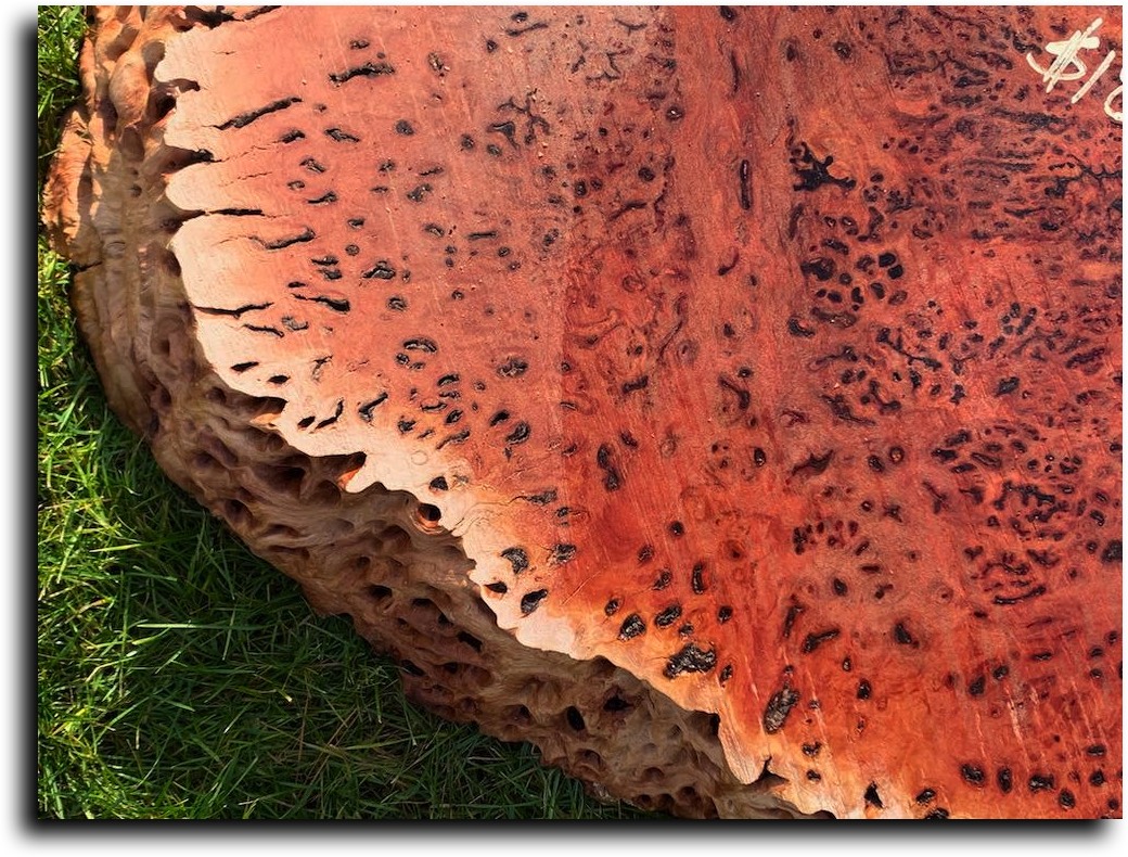 AustralianBurls.com - Large Burl Slab Current Inventory