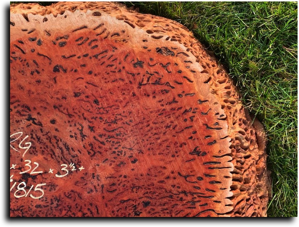 AustralianBurls.com - Large Burl Slab Current Inventory