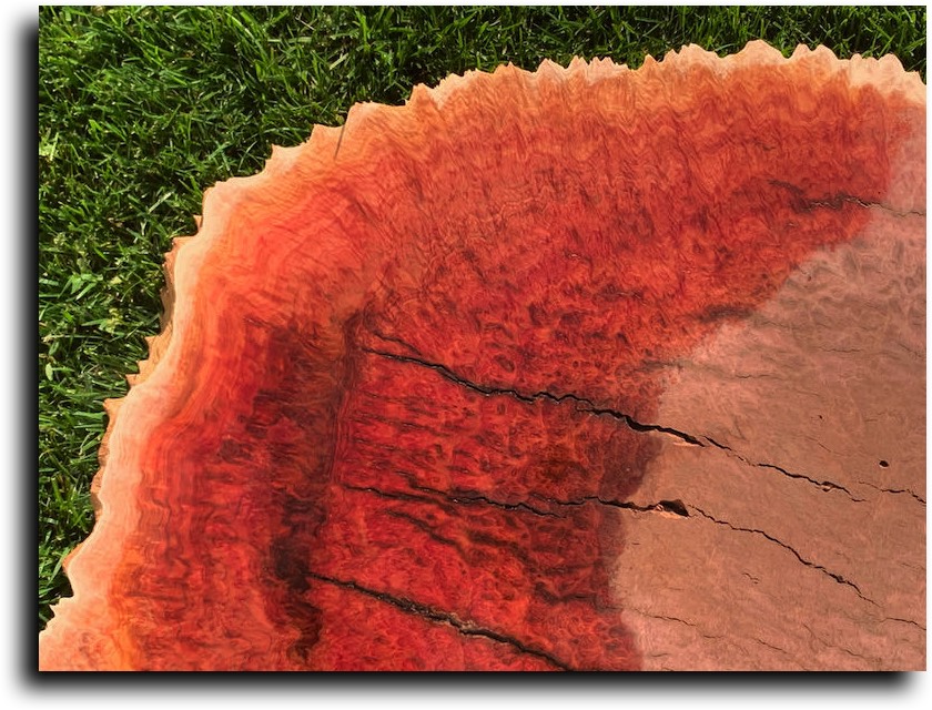 AustralianBurls.com - Large Burl Slab Current Inventory