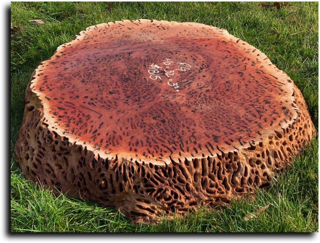 AustralianBurls.com - Large Burl Slab Current Inventory