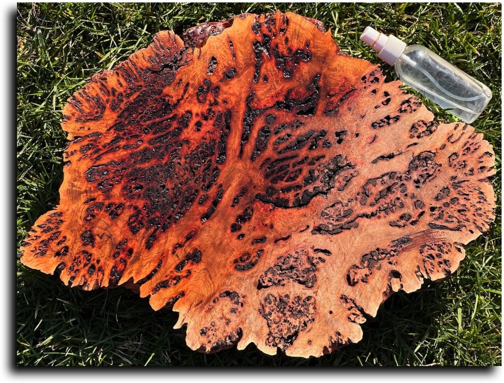 AustralianBurls.com - Small-Medium Burl Slabs (Page 1)